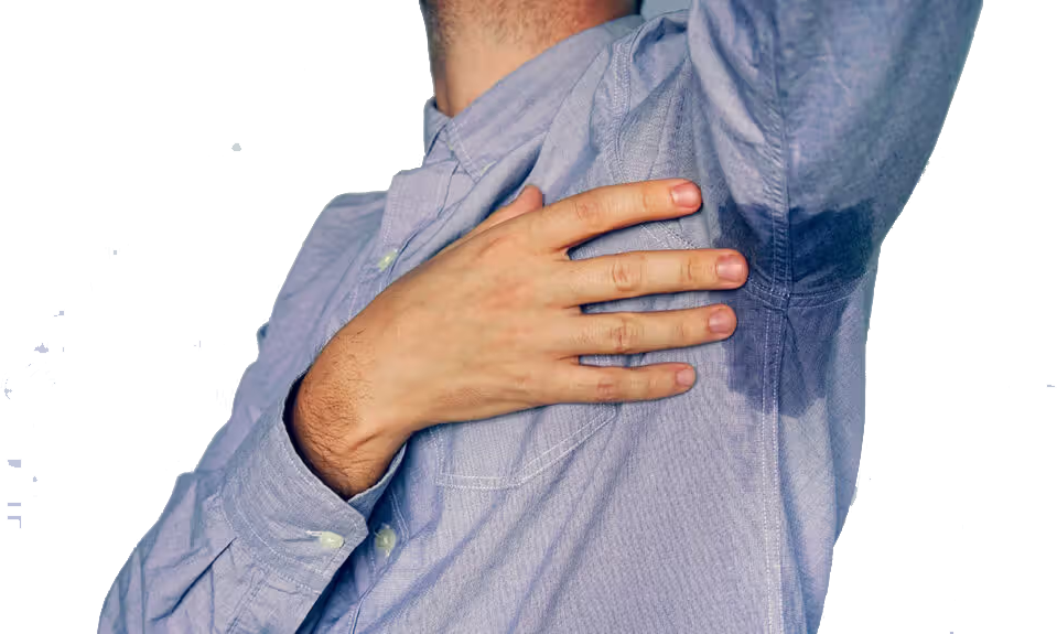 Linys – Linys Doğubayazıt Güzellik Salonu